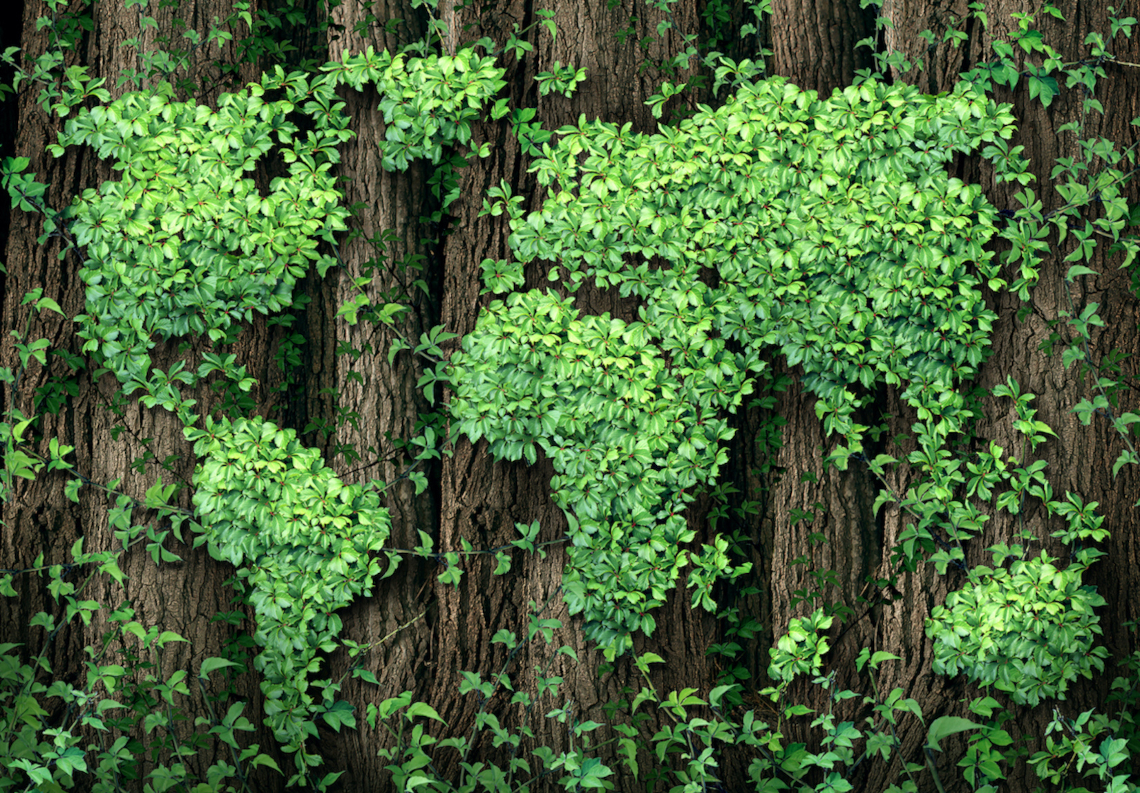 THE NATURAL WORLD IS CRITICAL TO CLIMATE | Oxford Alumni