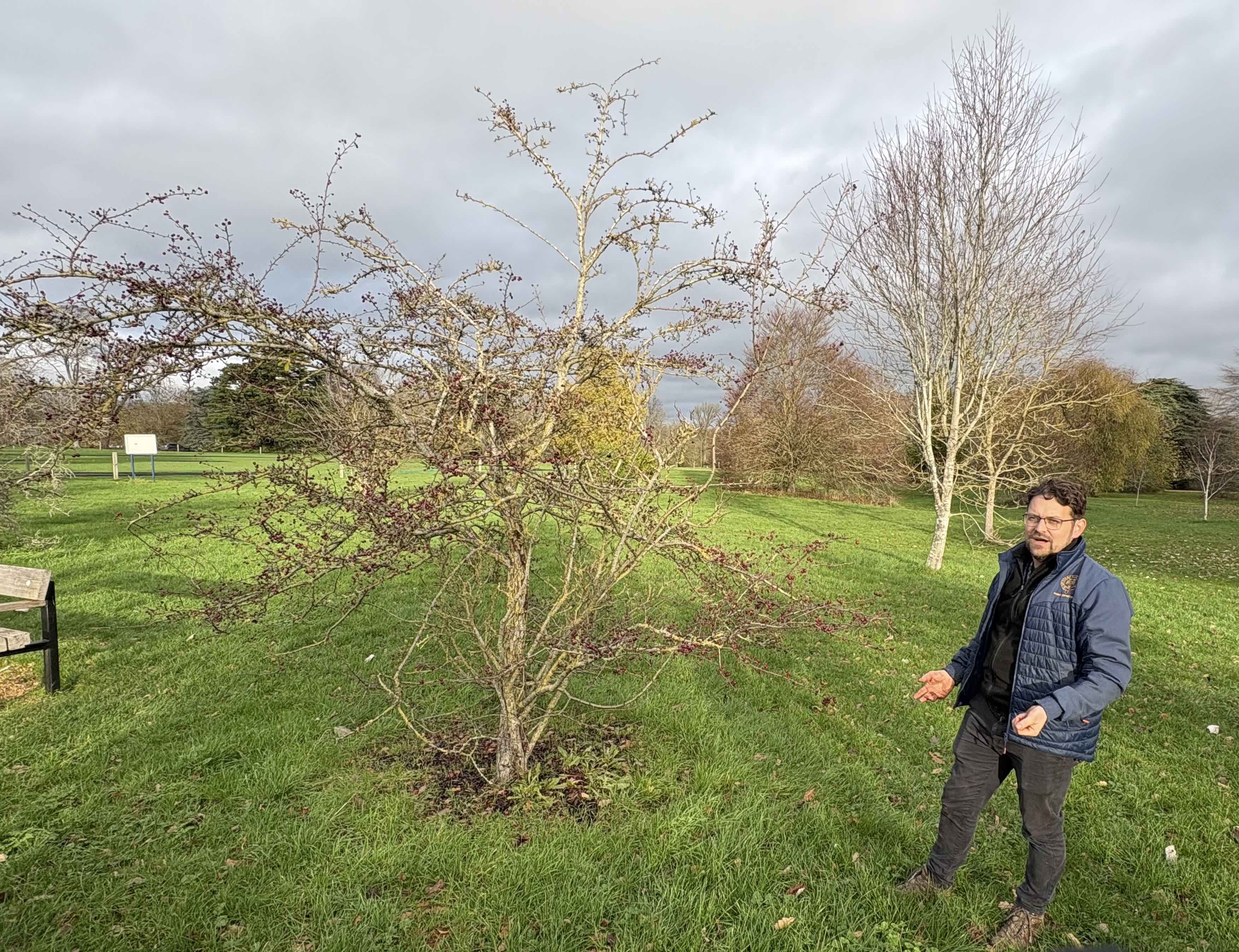 MAPPING THE UNIVERSITY PARKS TREES FOR VISITORS | Oxford Alumni